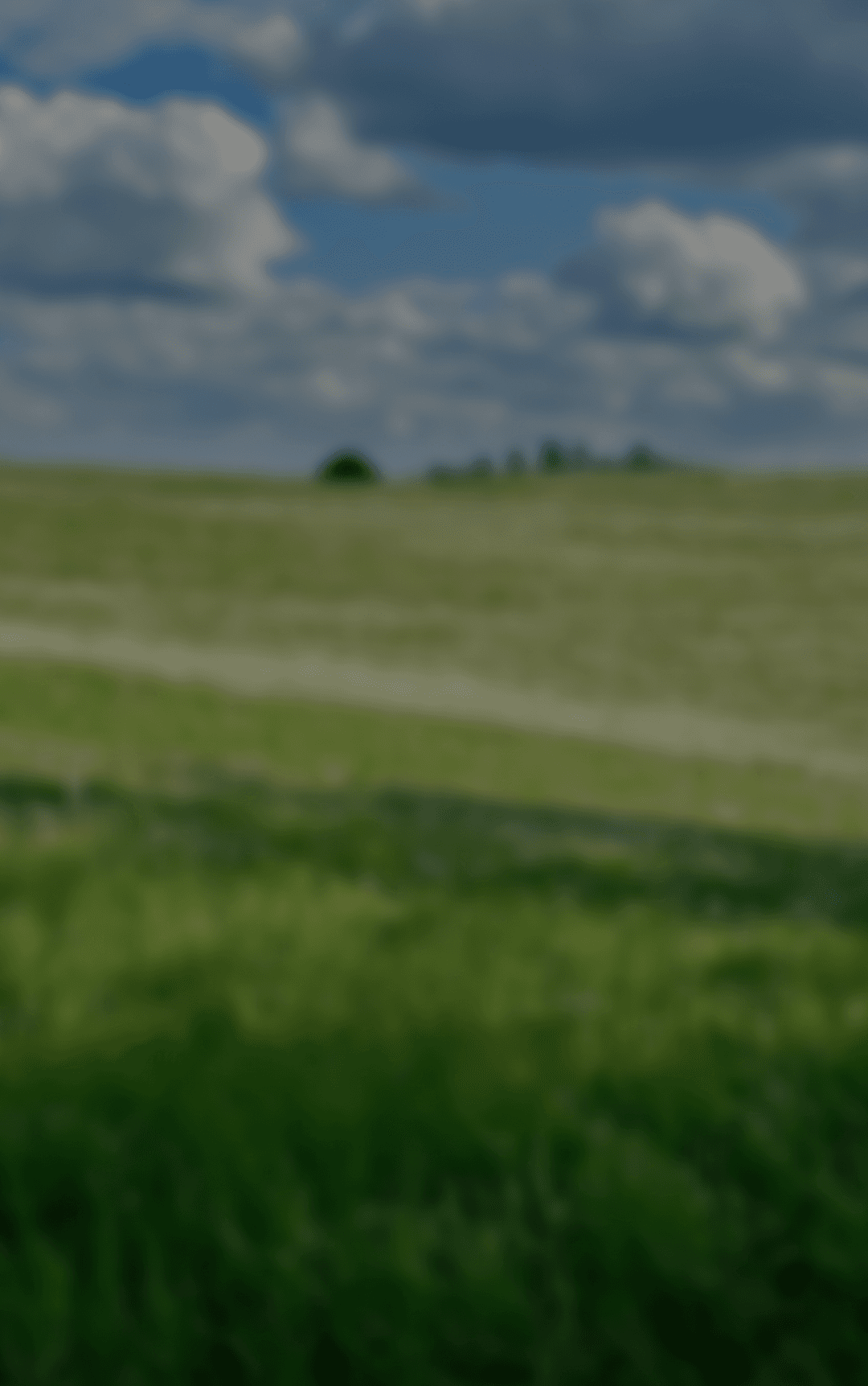Unlocking the Value of Grasslands | Cultivo